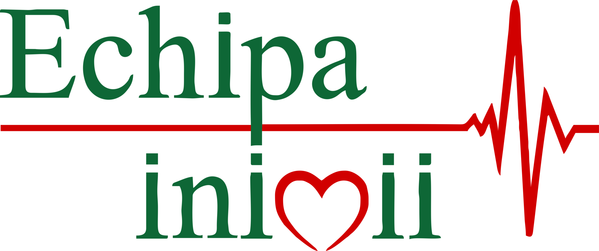 Programari - Echipa Inimii